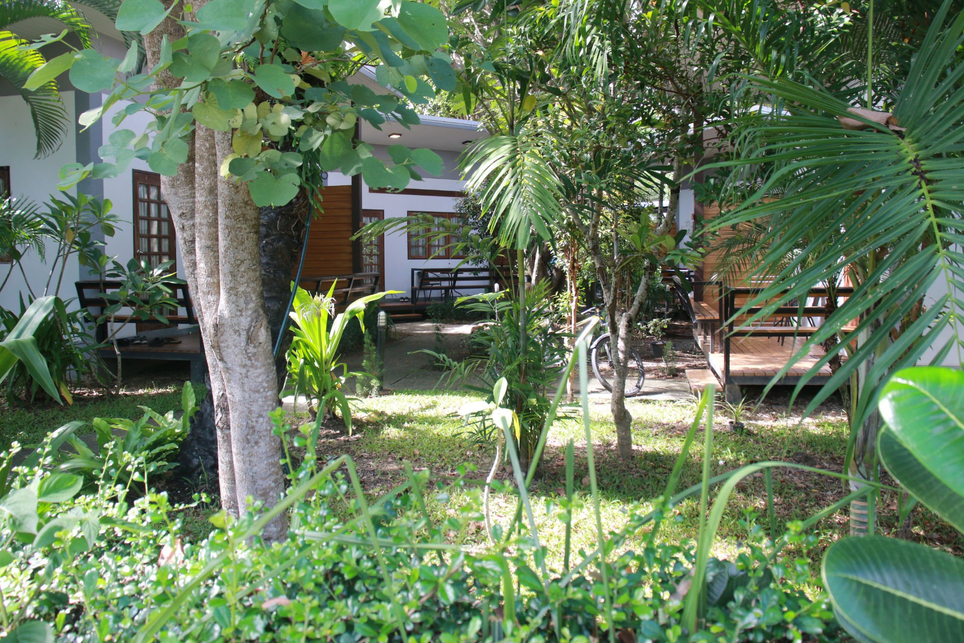 Opiates and Opioids Rehab - One Step Thailand